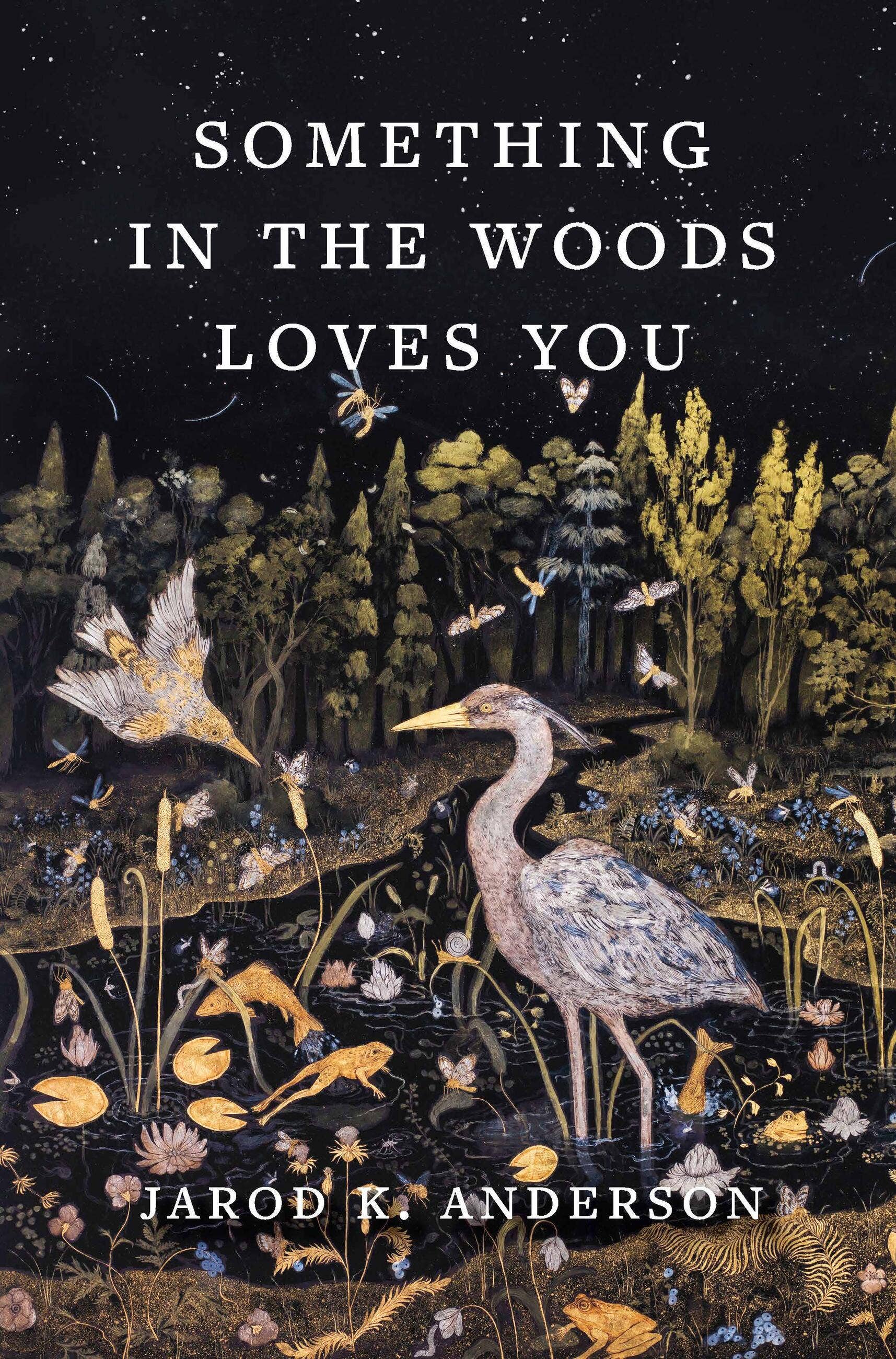 Hachette Book Group - Something in the Woods Loves You – Stomping Grounds