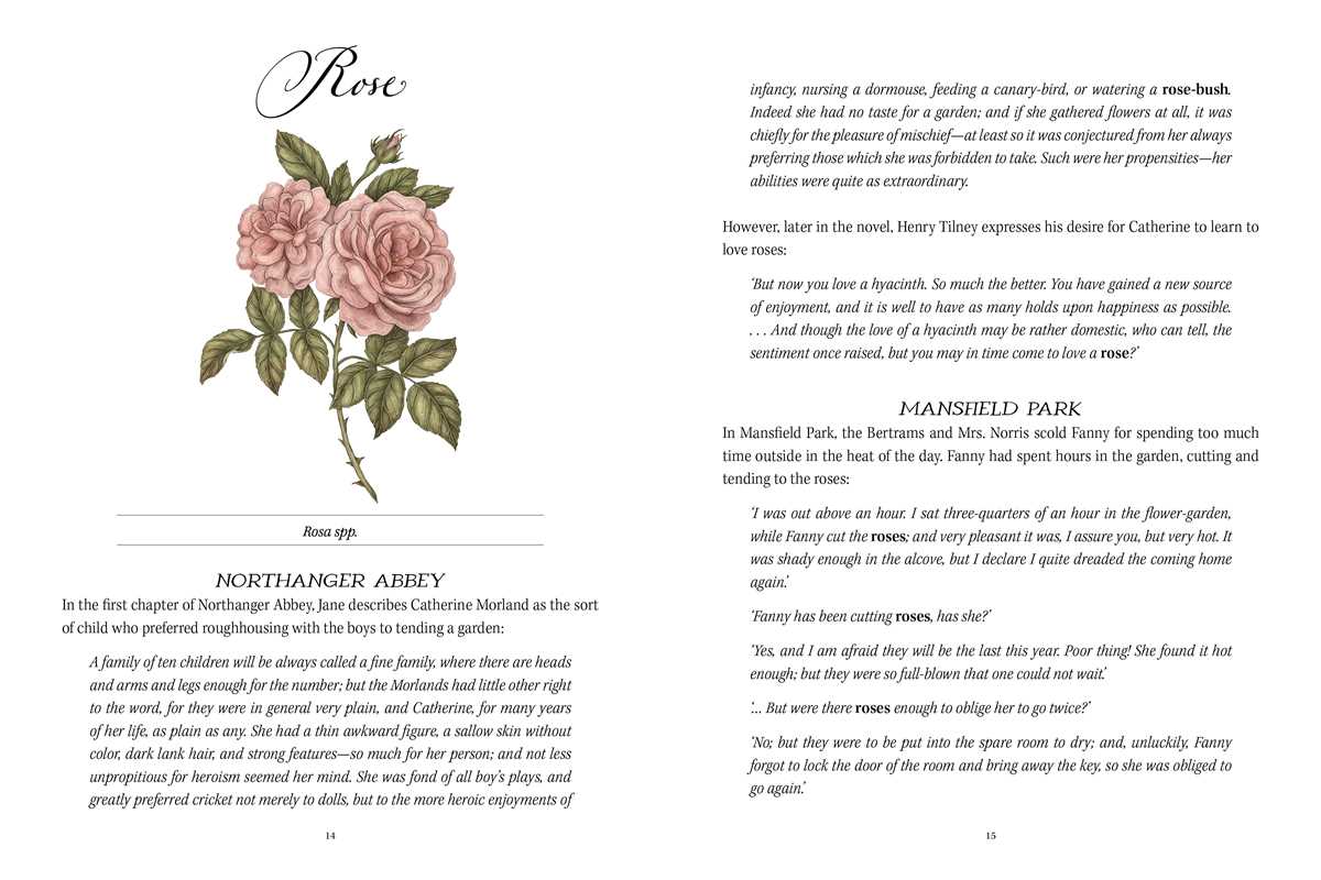 Jane Austen's Garden by Molly Williams – Stomping Grounds