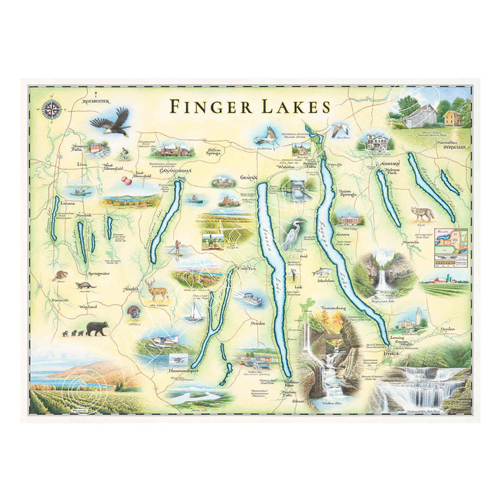 XPLORER MAPS: Finger Lakes Hand-Drawn Map – Stomping Grounds